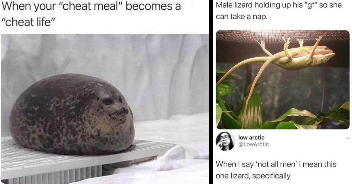 New Month, New Giggles: 39 Funniest Animal Memes To Laugh Your Tail Off ...