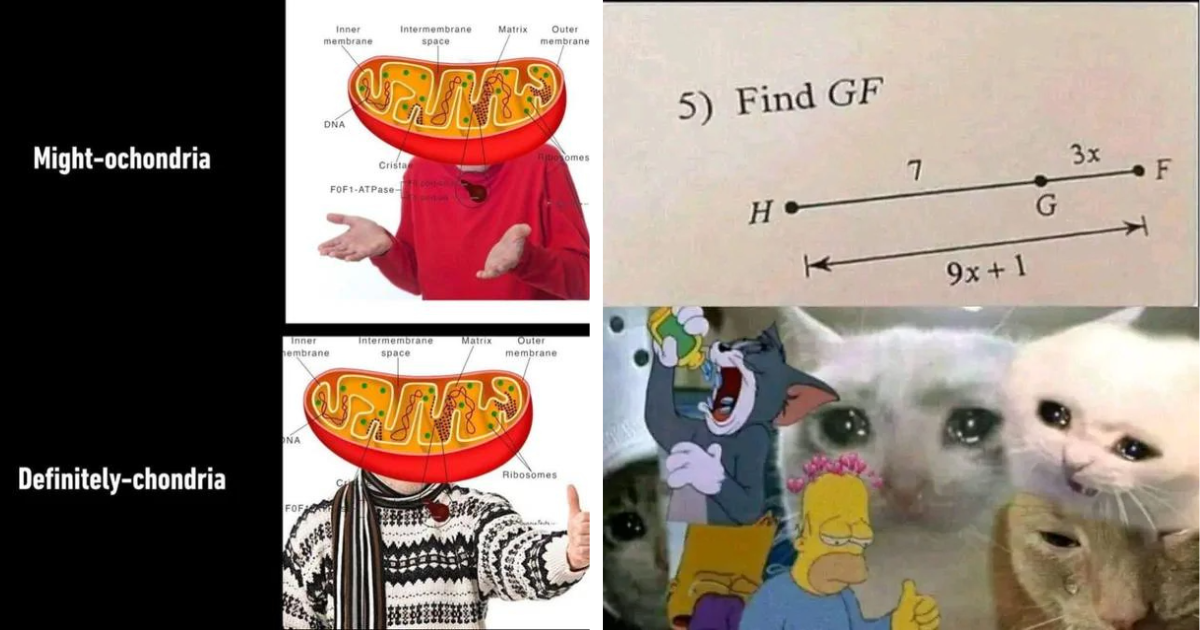 Lab, Laugh, Love: 31 Scientifically Approved Memes for Your Reaction ...