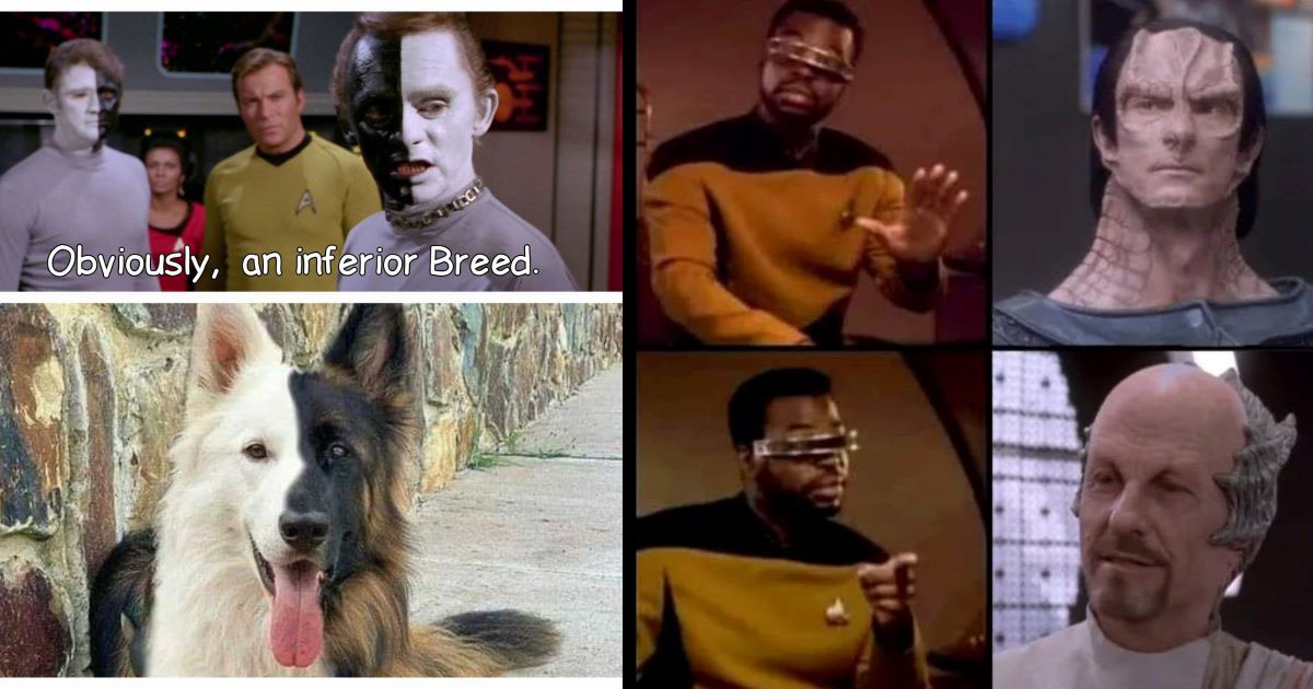 30+ of the Funniest Star Trek Memes of the Week (February 6, 2024 ...