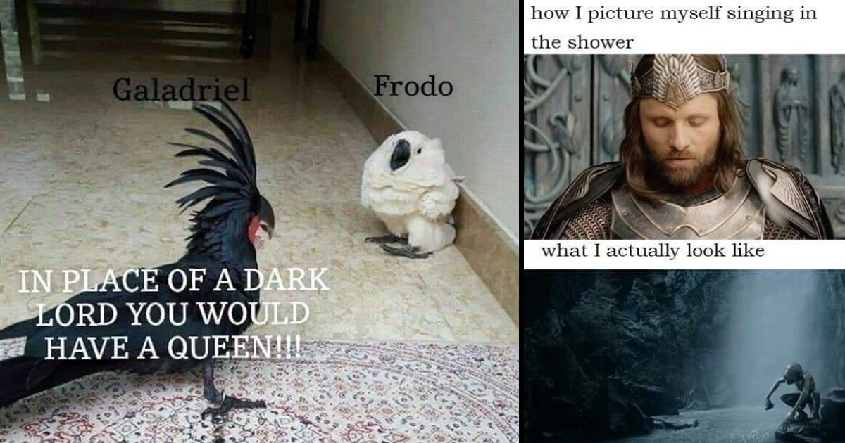 Tolkien Tuesday: The Best Lord of the Rings Memes This Week (February 6 ...