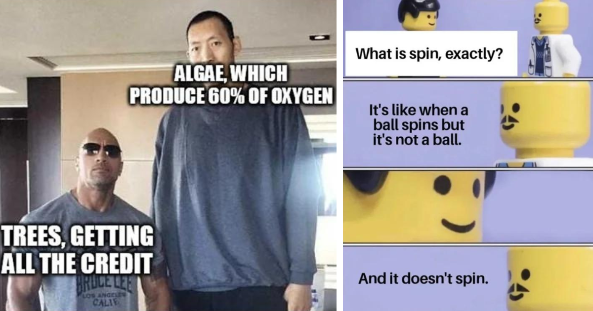 Lab, Laugh, Love: 31 Scientifically Approved Memes for Your Reaction ...