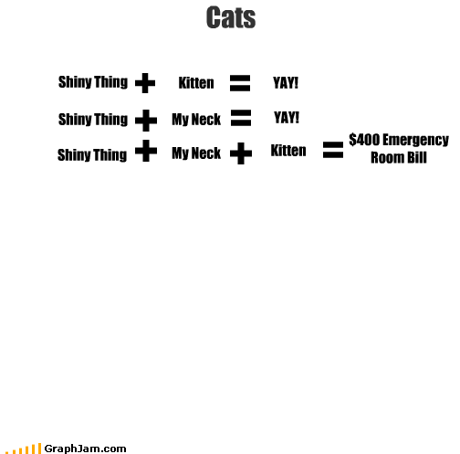 GraphJam - kitten - funny graphs - Cheezburger