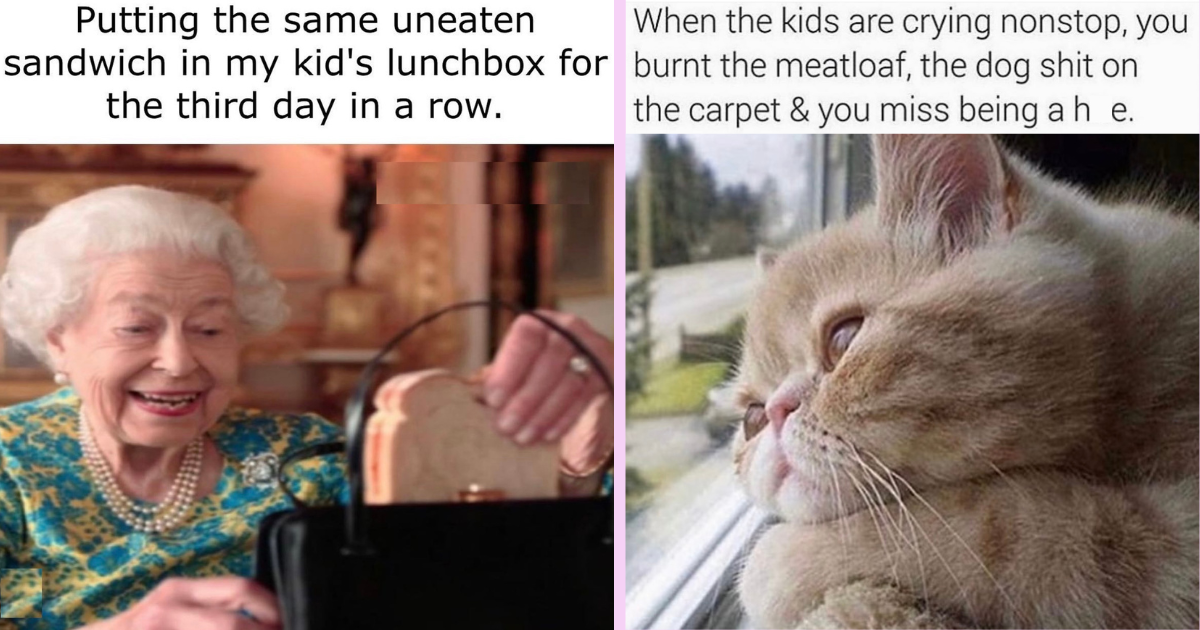 37 Memes for Moms and Dads Bringing Authenticity to the Forefront ...