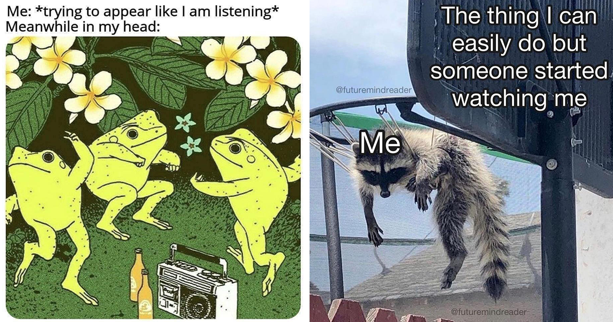 Exquisitely Exasperated Animal Memes For All The Exhausted Introverts ...