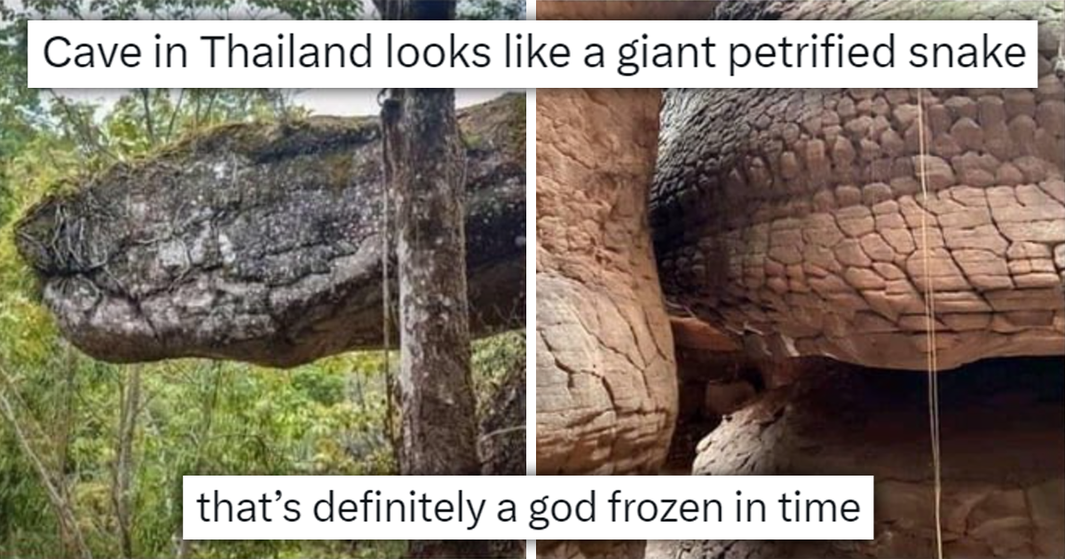 Caves And Structures That Look Like Prehistoric Petrified Animals That ...