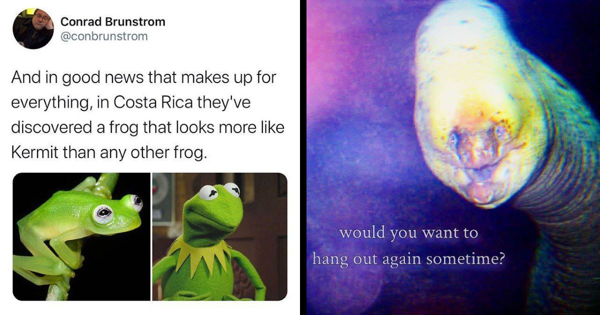 40+ Memes That Make Magic - Memebase - Funny Memes