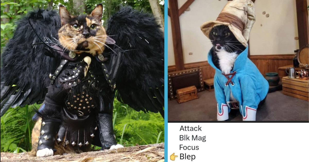 A Cute Comic-Con Of 26 Cosplaying Cats Fulfilling All Of Our Floofy ...