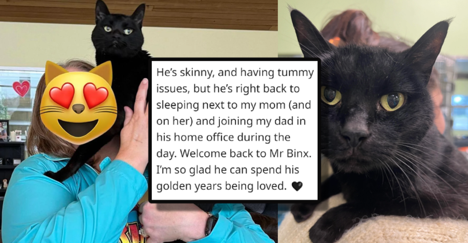 I Can Has Cheezburger? - homecoming - Funny Animals Online - Cheezburger