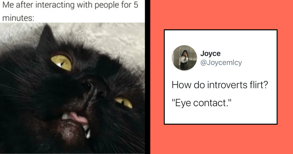 36 Introvert Memes for Grateful Loners Happy to Stay in Their Lane ...