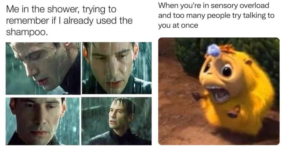 31 ADHD Memes That are All Over The Place (February 19, 2024) - Geek ...