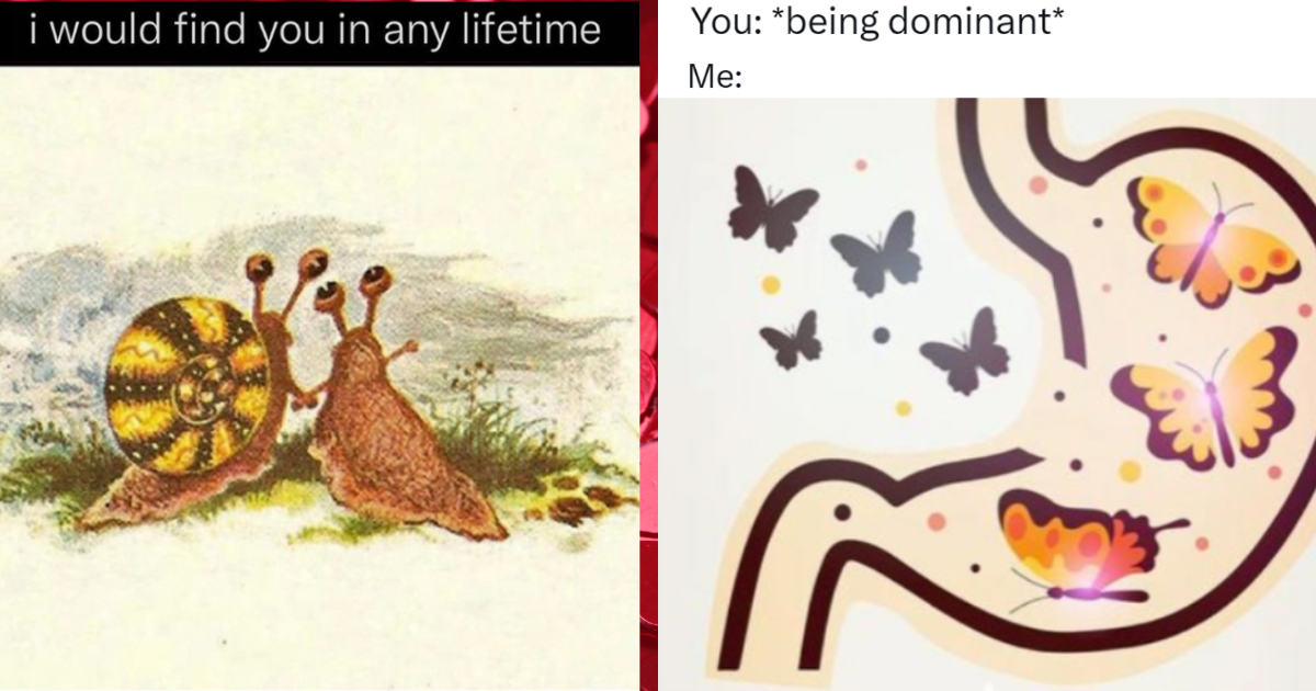 30 Long-Term Relationship Memes for Loyal Couples Fluent in Each Other ...