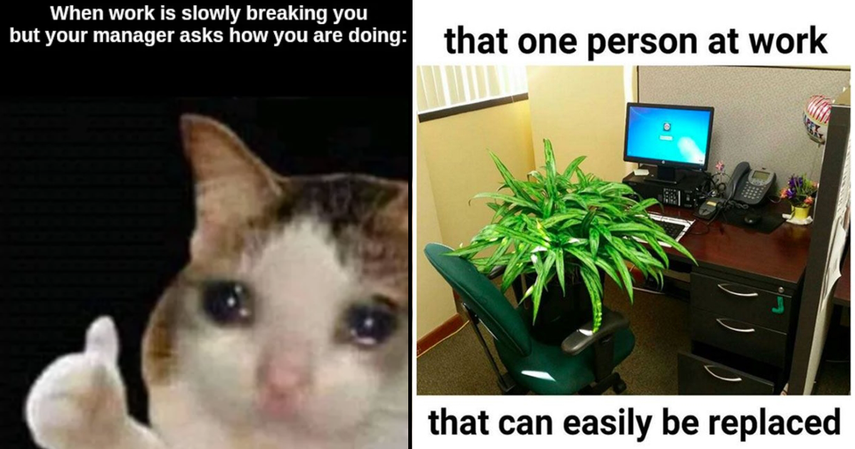 The Best Relatable Work Memes This Week (February 19, 2024) - Memebase ...