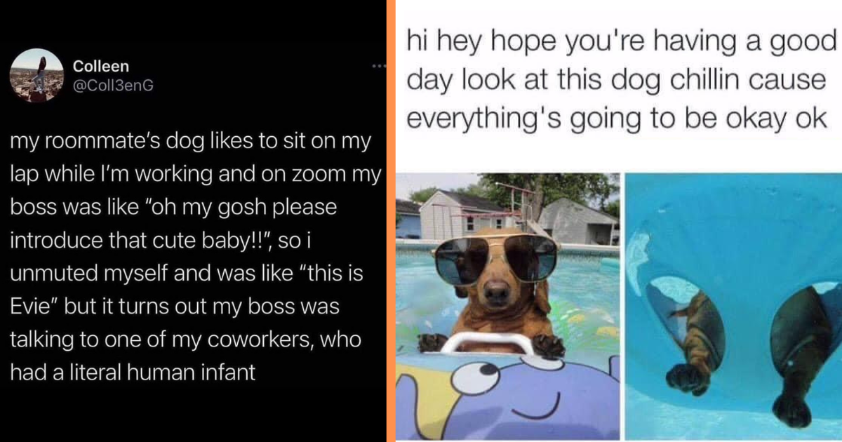 Chillin Like A Boss Meme