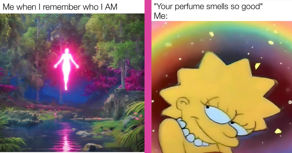 30 Witty Women’s Memes for Intuitive Ladies With Unshakable Self-Worth ...