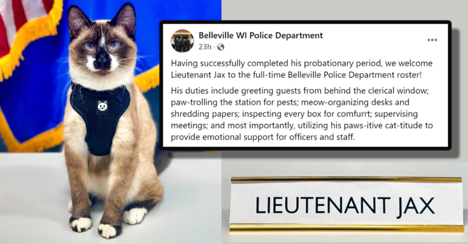 Wisconsin Police Department Welcomes New Pawtner Lieutenant Jax - I Can ...