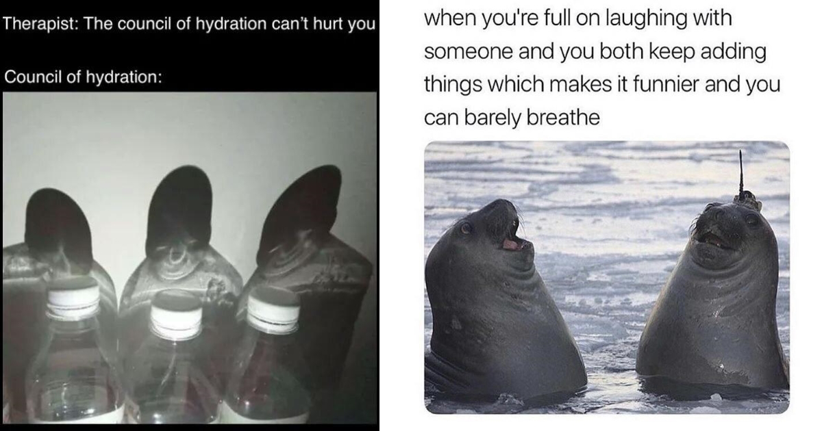 A Casual Cluster of Browsable Memes - Memebase - Funny Memes