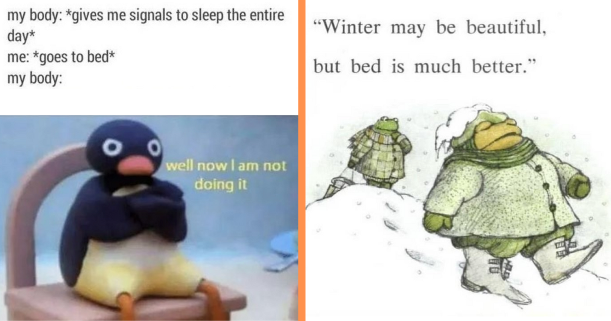 40 Funny Animal Memes To Kickstart Your Work Week With A Furtastically ...