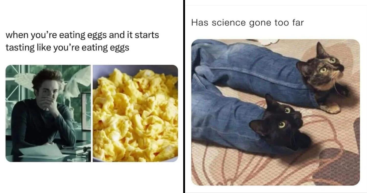 31 Memes That Have Journeyed From One Place to Another Place - Memebase ...