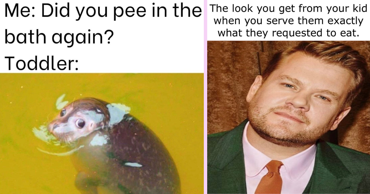 33 Terrific Memes for Moms Triumphing Toddler Turmoil (March 4, 2023 ...