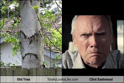 Totally Looks Like - Clint Eastwood - Cheezburger
