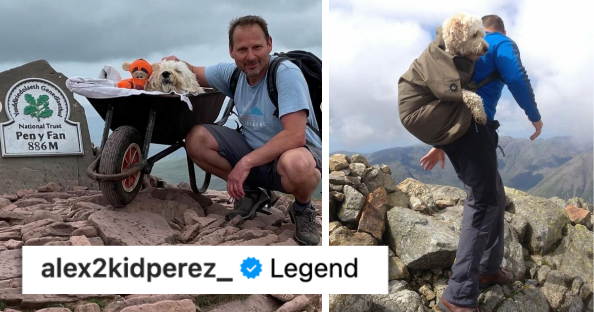 Heartwarming Doggo Owner Carries His Sick Dog 180 Miles By Wheelbarrow ...