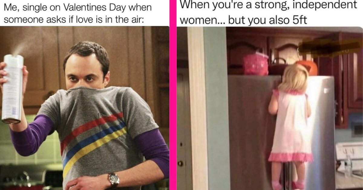 30 Magical Memes For Single Girls Embracing Their Divine Feminine ...
