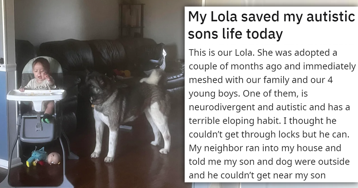 Pawmazing Dog Saves The Life Of An Autistic Baby, Fiercely Protecting ...