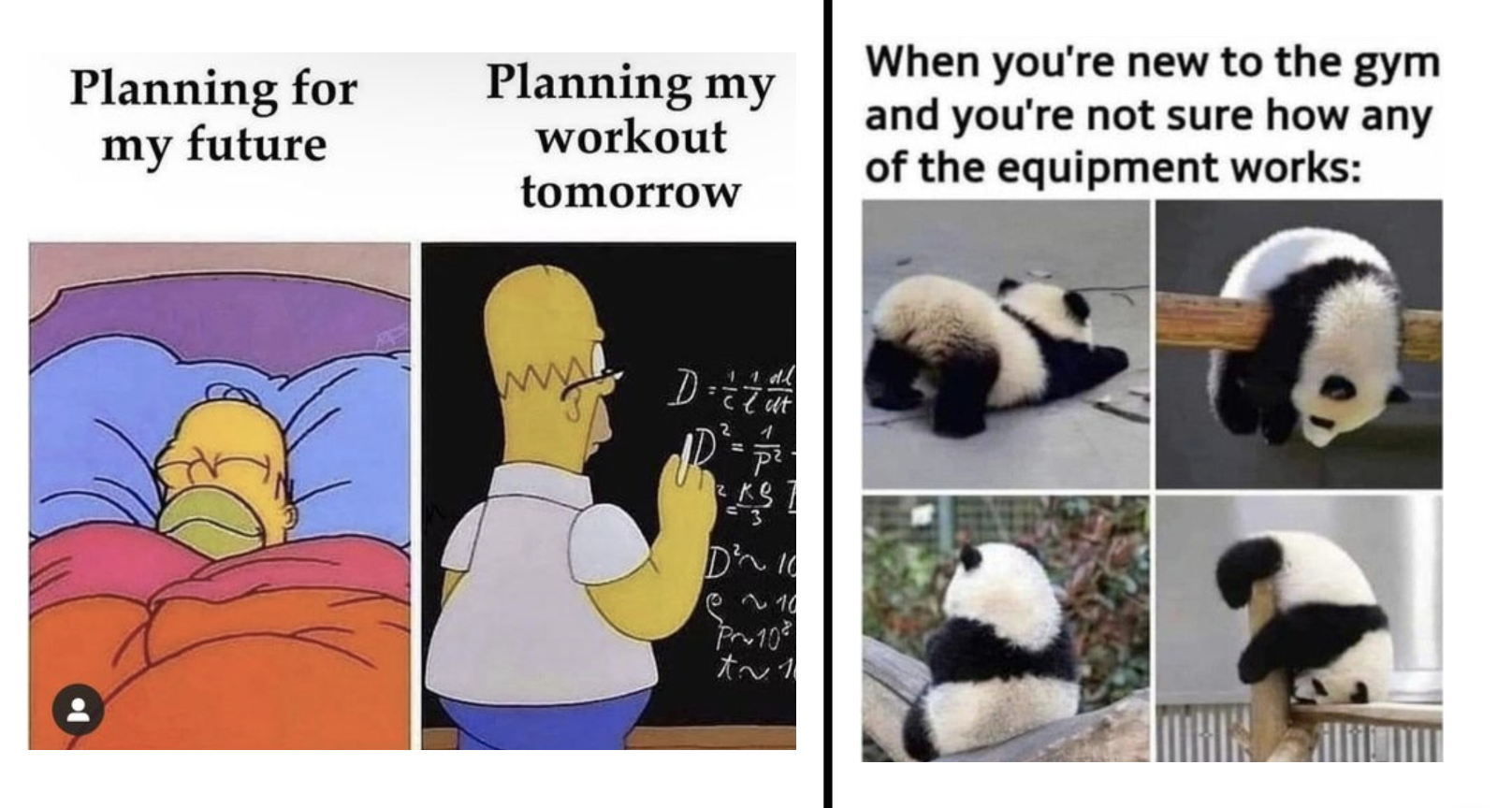 Relatable Gym Memes For Girlies Working It Out On Their Pre-Summer Hot ...
