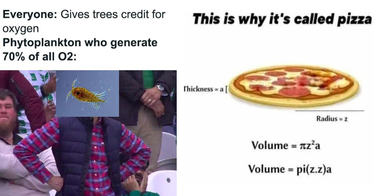 Lab, Laugh, Love: 33 Scientifically Approved Memes for Your Reaction ...