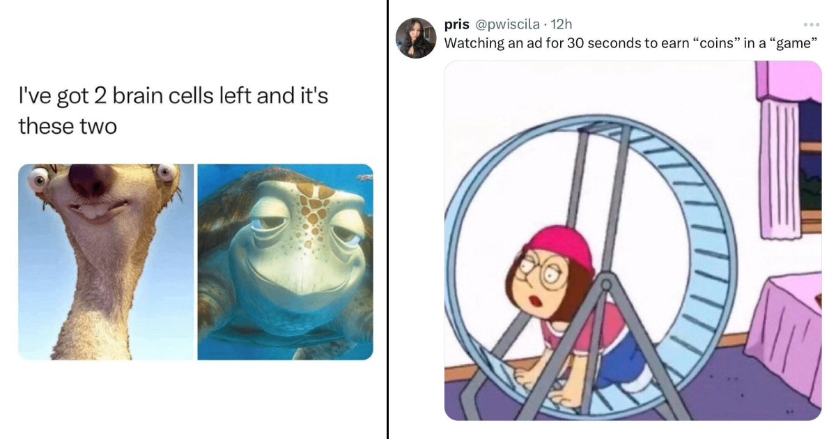 30 Memes Tucked Up Nice and Tight - Memebase - Funny Memes