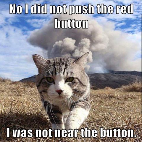 The 10 Best Captions From Our "Caption This" Challenge! - I Can Has ...