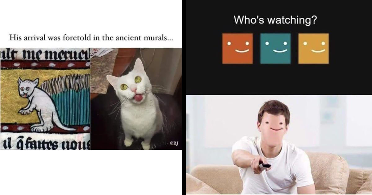 35+ Memes for The People - Memebase - Funny Memes