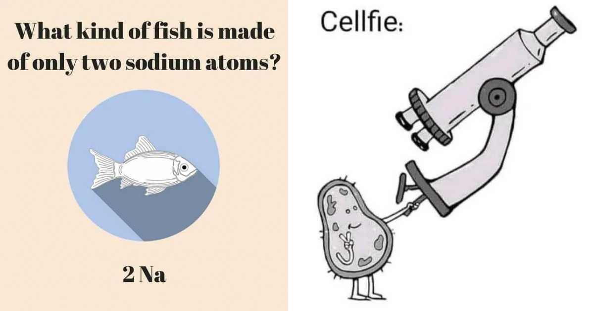Lab, Laugh, Love: 33 Scientifically Approved Memes for Your Reaction ...