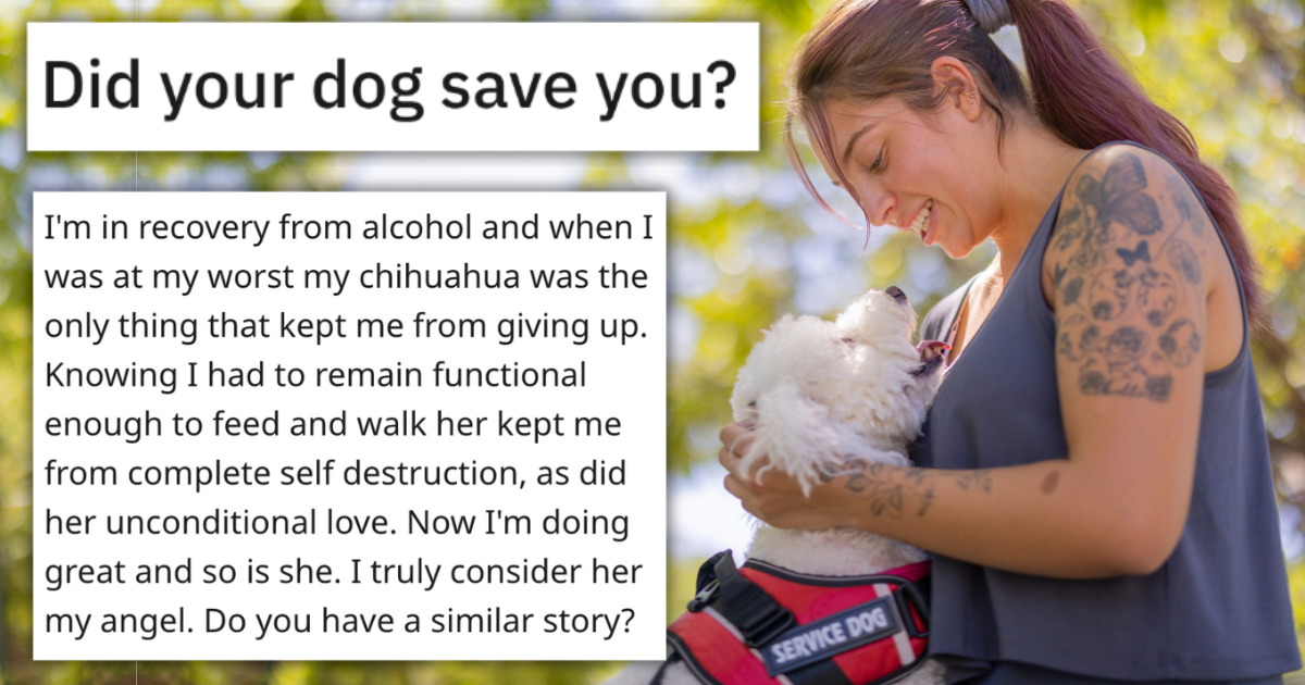 22 Tail-Wagging Tales Of Heartwarming Canine Heroism That Made Us Paws ...