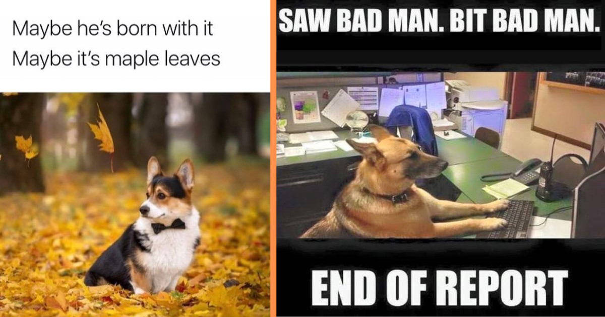 Doggie Dump of Dopamine To Ride Until The Last Woof Of The Weekend ...