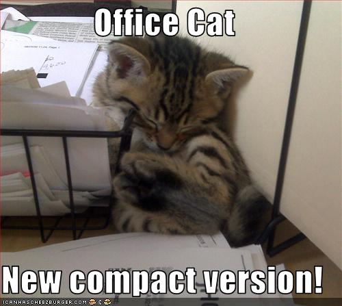 Office Cat New compact version! - Cheezburger - Funny Memes | Funny ...