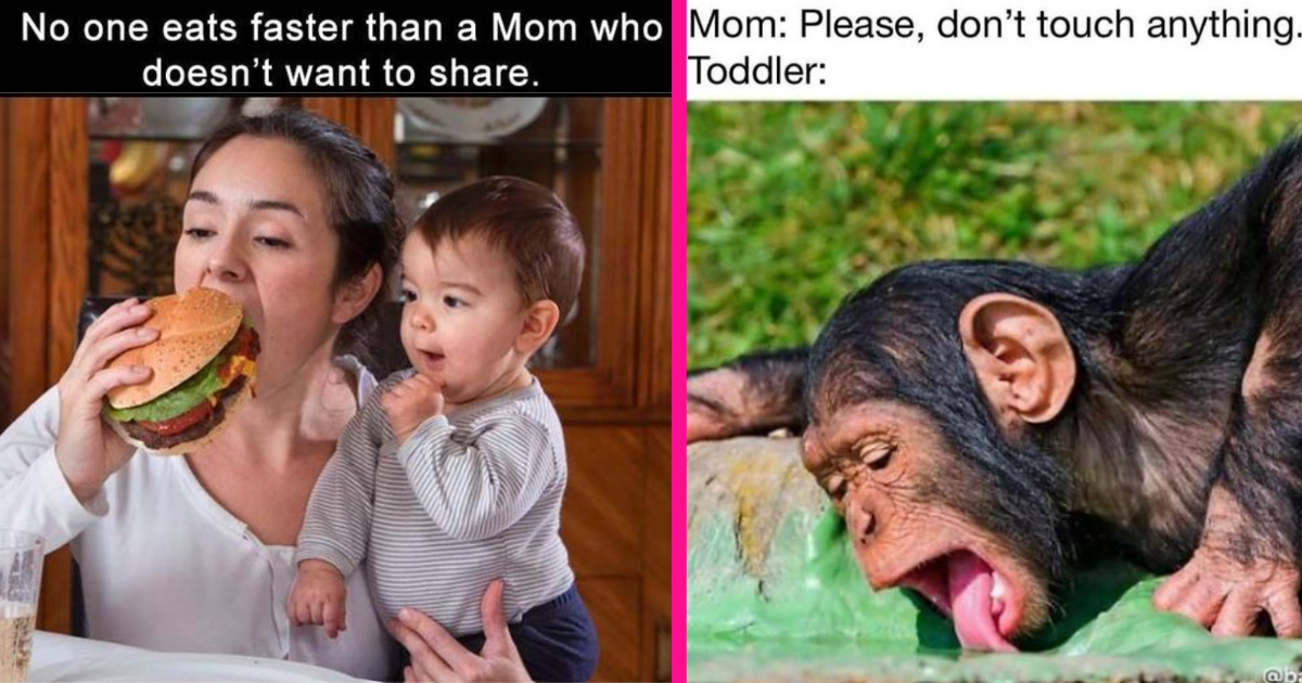 47 Hilarious Motherhood Memes That Nail the Chaotic Joys of Raising ...