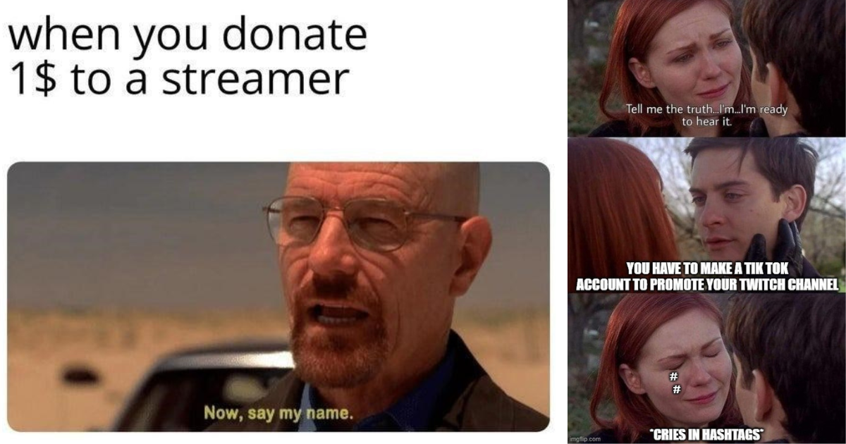 Streaming Shenanigans: Hilarious Twitch Memes for the Gaming Community ...