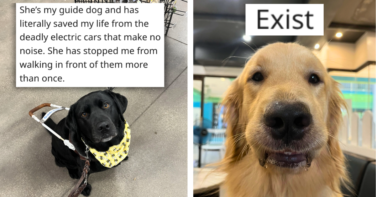 26 Doggo Owners Share Their Favorite Thing About Their Four-Legged ...