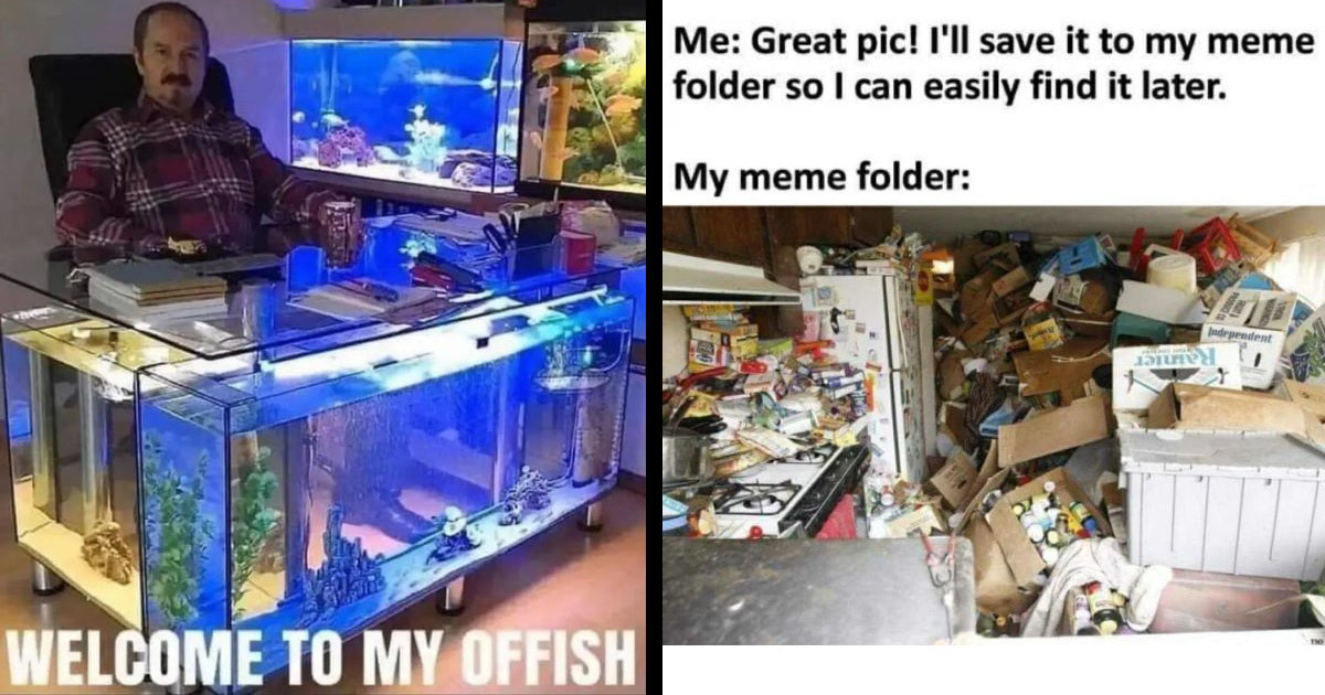 35+ Memes Making Their Way Downtown, Walking Fast - Memebase - Funny Memes