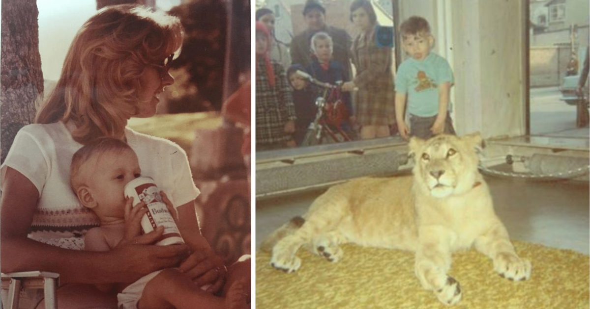 It's a Wonder We Survived: The Wild World of Parenting Through the ...