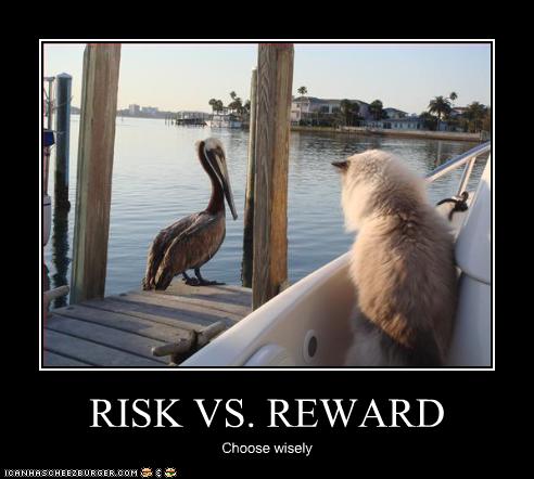 RISK VS. REWARD - Cheezburger - Funny Memes | Funny Pictures