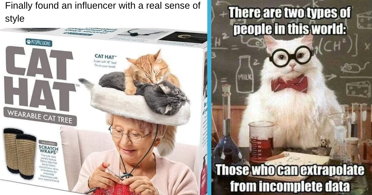 30 Funny Cat Memes To Help You Prep For A Purrfect Weekend - I Can Has ...