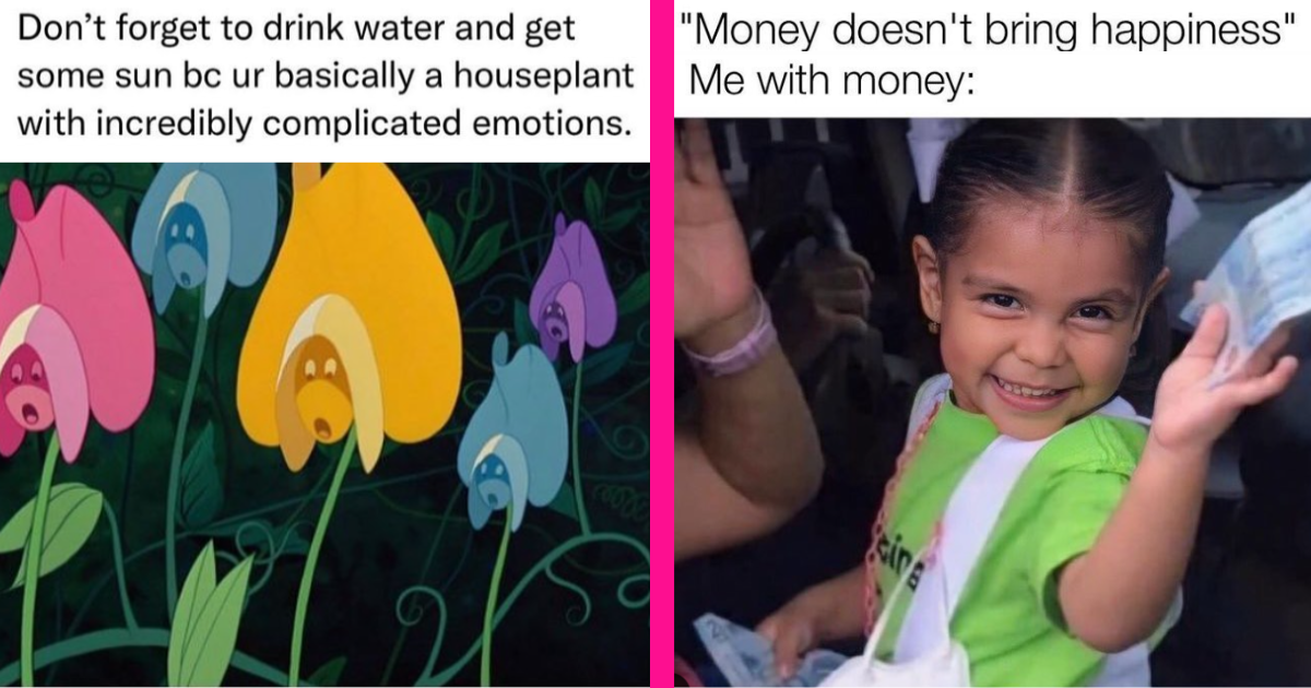 30 Witty Women’s Memes for Intuitive Ladies With Unshakable Self-Worth ...