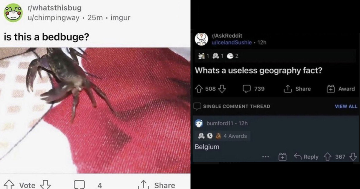 Memebase - Reddit - All Your Memes In Our Base - Funny Memes - Cheezburger