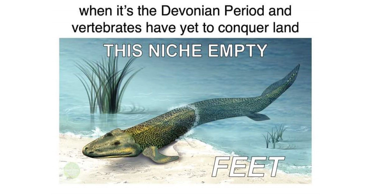 25+ of the Best Animal Memes of the Week (March 23, 2024) - Memebase ...