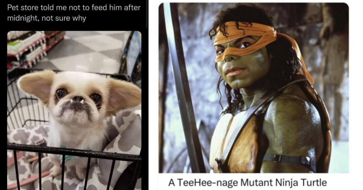 A Multiverse of 31 Geeky Memes from Across All Fandoms - Geek Universe ...