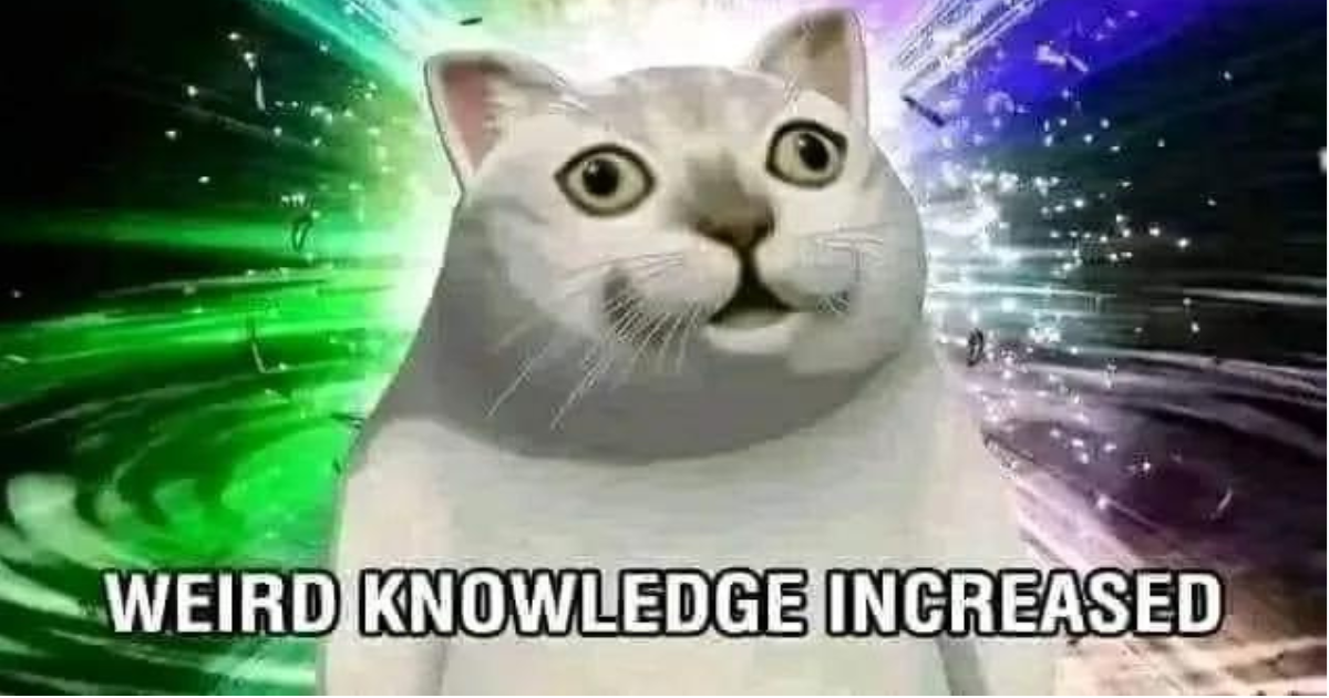 The Internet’s Weirdest Knowledge Shared on This 9GAG Thread - Geek ...