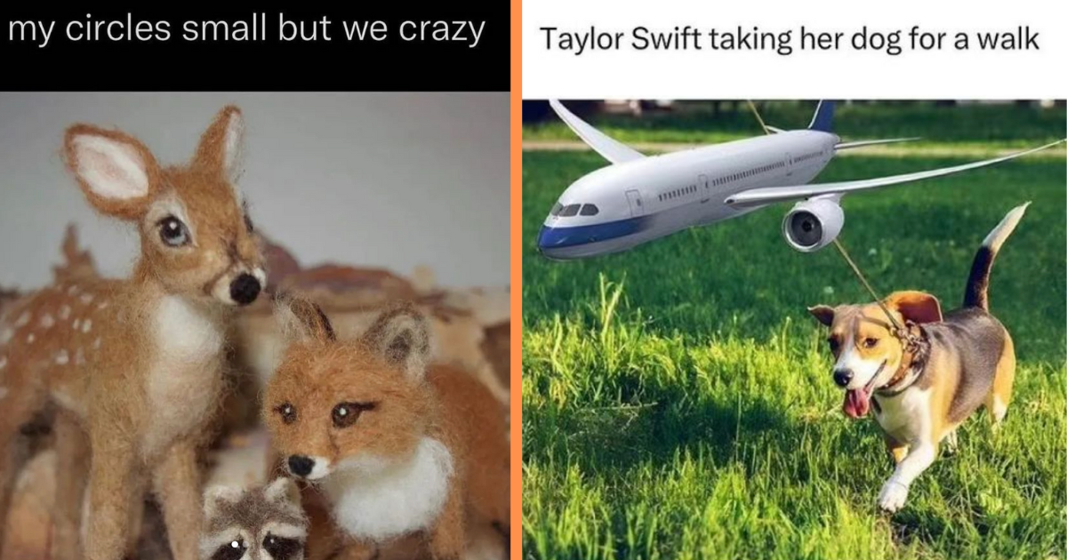 36 Silliest Animal Memes To Start The March Into Monday With A ...