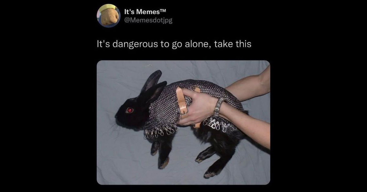 30 of the Best Animal Memes of the Week (March 30, 2024) - Memebase ...